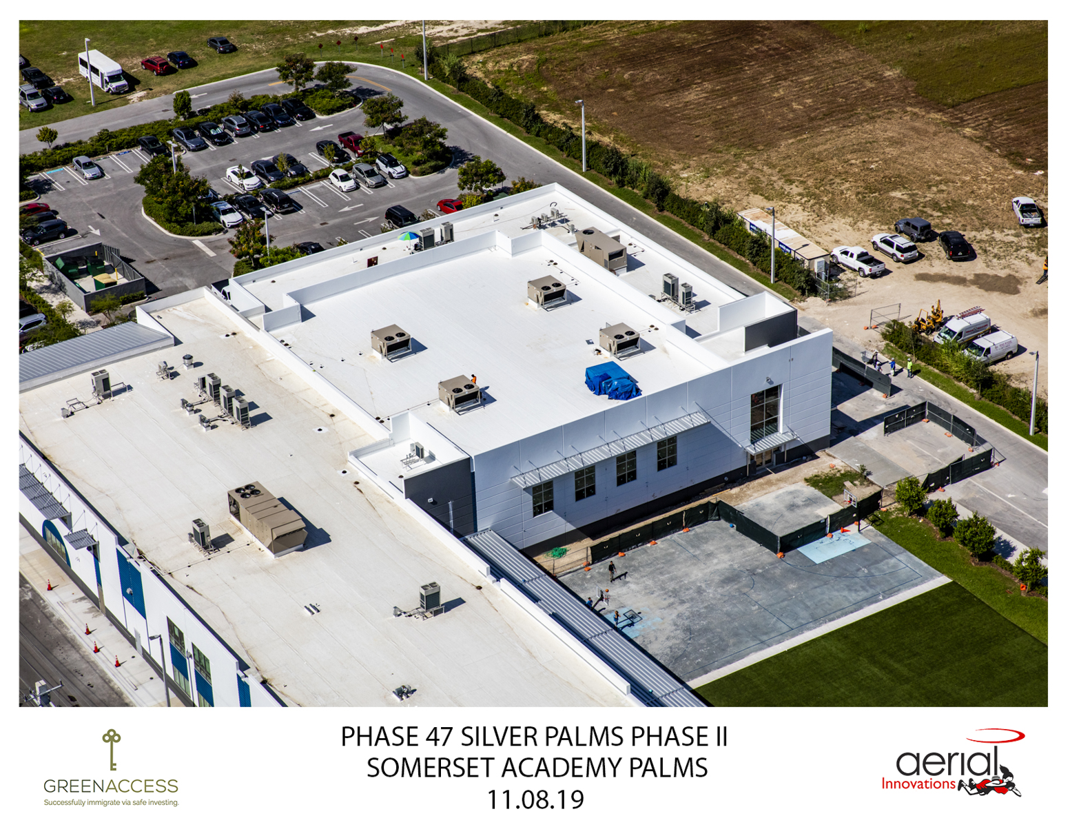 Phase 47 – Silver Palms II